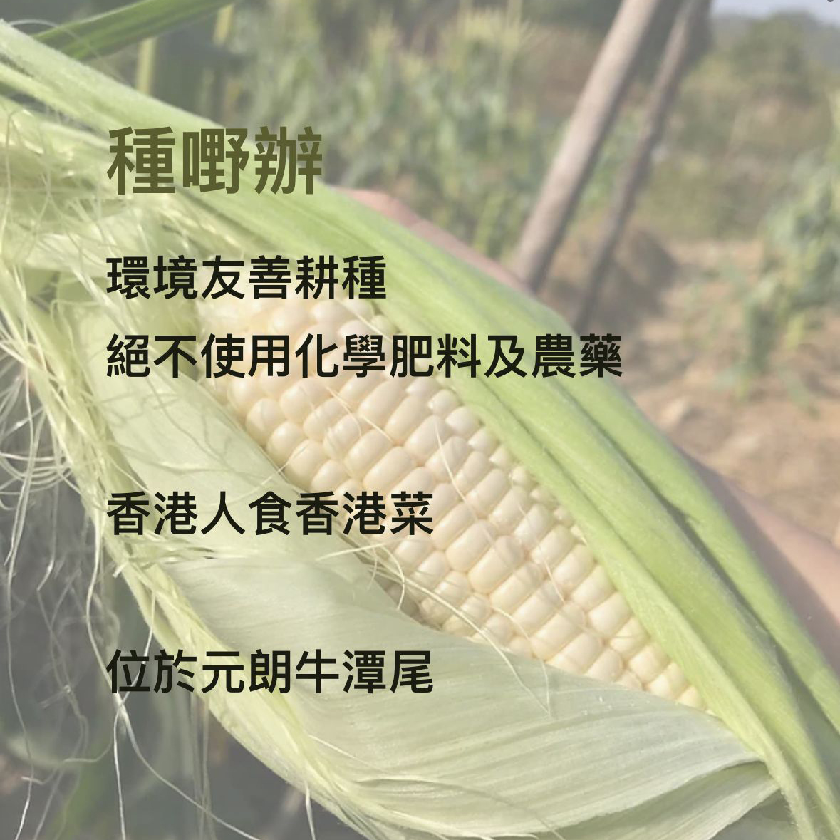 「食本地鮮」 Eat Local 漁場農場會員名單 – 「逆瀕行動」Mission R Ocean Park Hong Kong